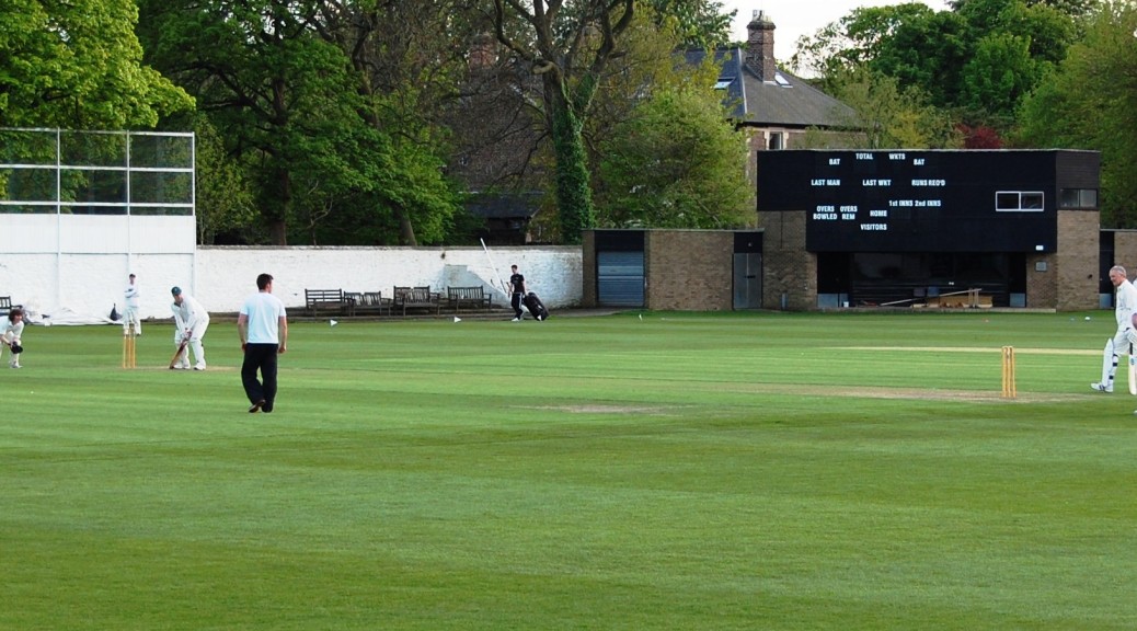 Match Reports 2013 | Mallards Cricket Club